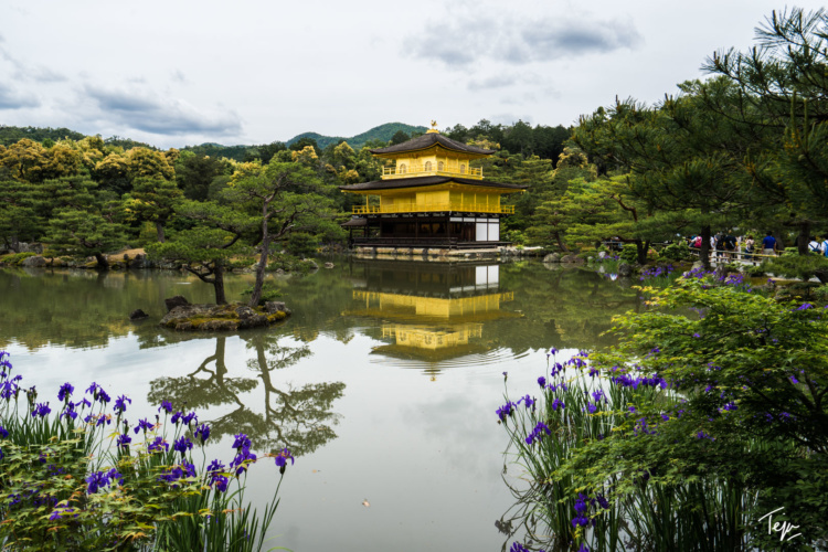 My Favorite Places To Visit in Kyoto During Summer