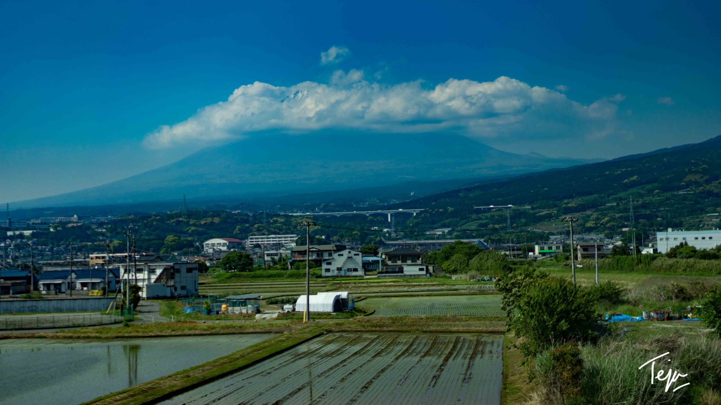JR Rail Review: Shinkansen Hikari First Class (Tokyo - Kyoto)