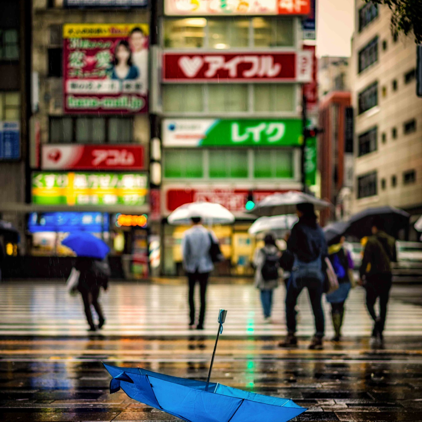 Focal Point: A Rainy Day in Tokyo