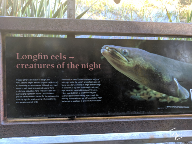 A Look at New Zealand's Legendary Lake