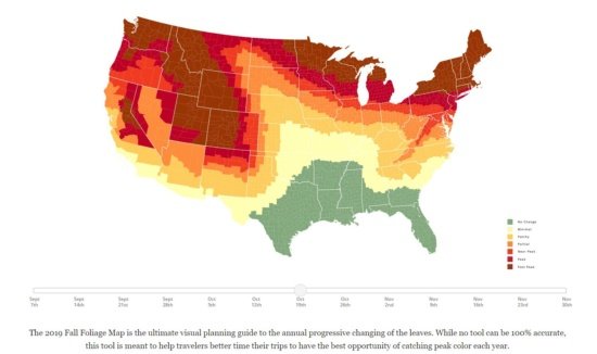 It's not too late to see the fall colors!