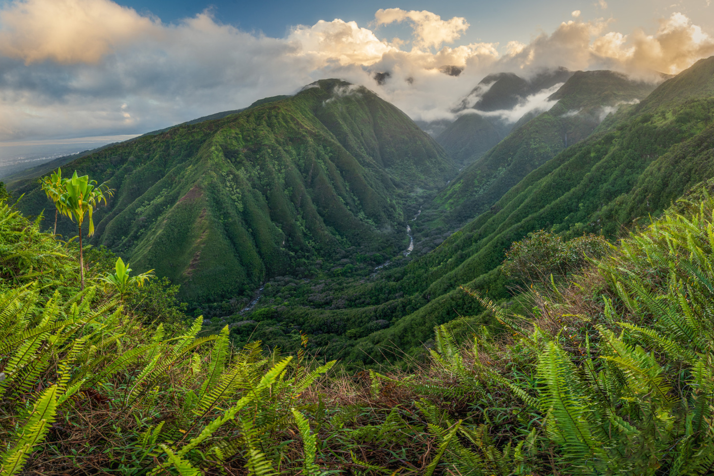 My Top 10 Must-See Places on Maui (A Pictorial Journey)