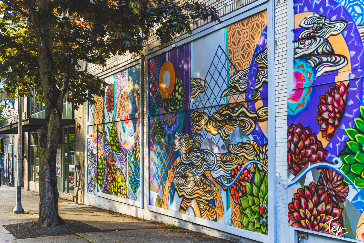 A Walk in Downtown Seattle: A lot has changed?