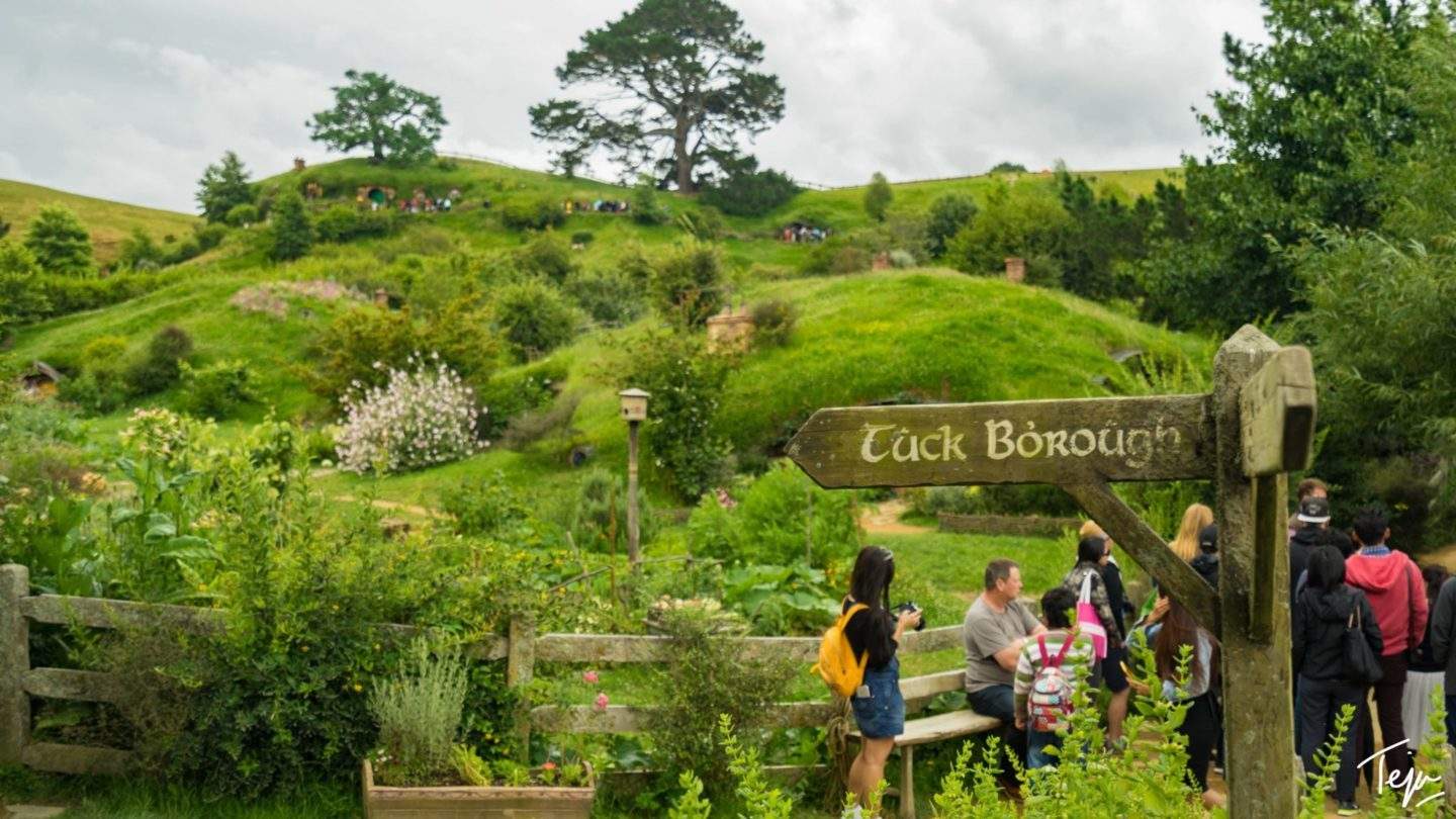 There and Back Again: A Day in Hobbiton