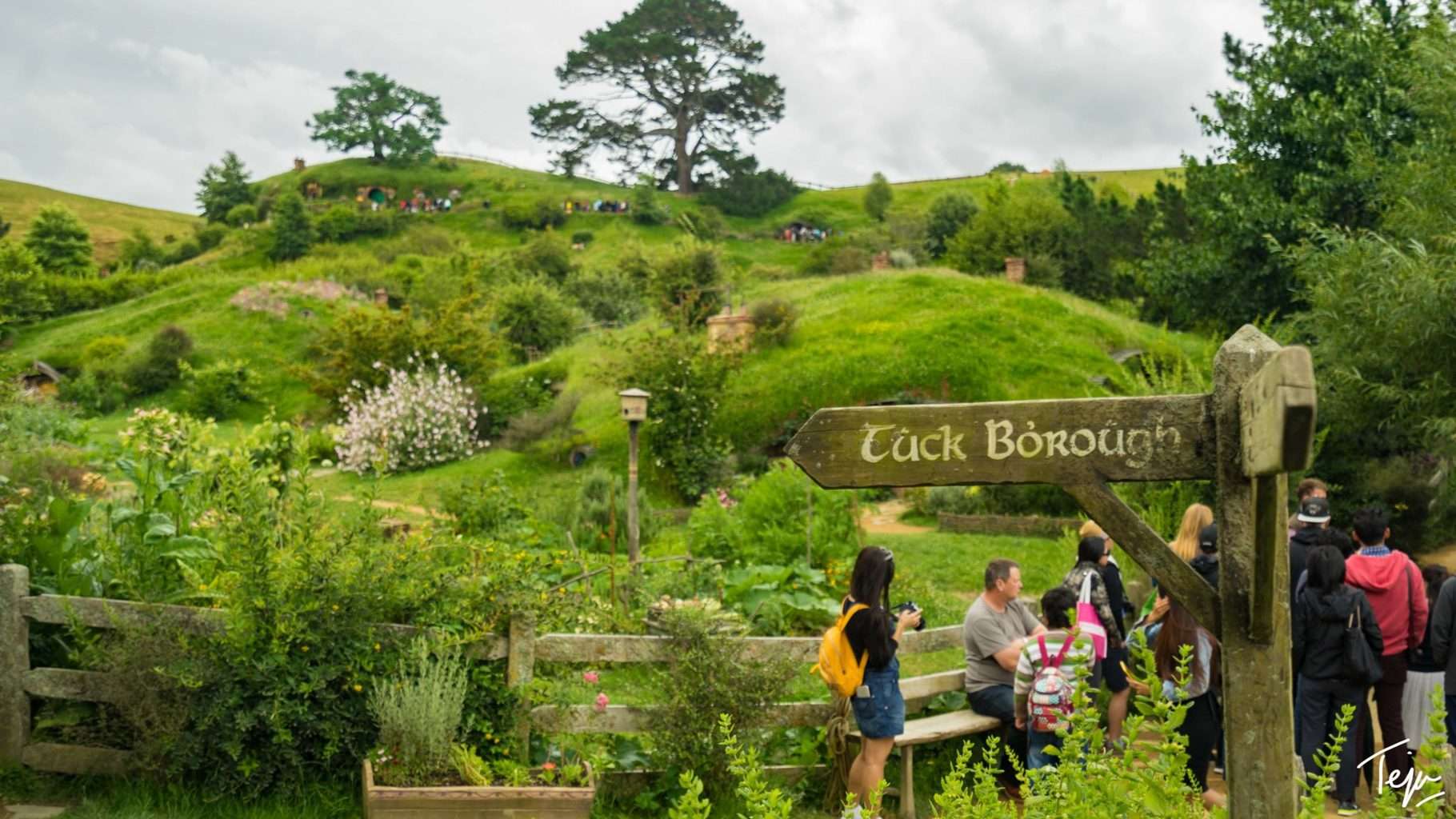 There and Back Again: A Day in Hobbiton